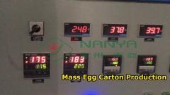 Mass Producution Pulp Egg Carton Making Machine/ Egg Carton Making Machine