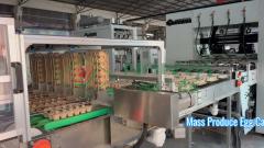 Fully Automatic Egg Carton Making machine/ Mass production Egg tray/ Carton Making amchine