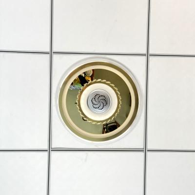 China DC12V Ionization Module For Lamp Negative Ion  Generator 8KV OEM for sale