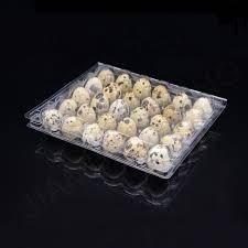 Cina Rotolo di fogli di plastica PET riutilizzabile Vassoio per uova di quaglia in plastica trasparente in vendita