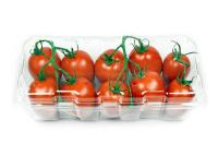 China Biodegradable Plastic Sheet Biodegradable Plastic Sheet Catering Packing Tray for sale