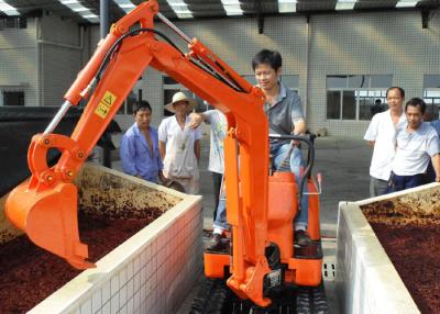Cina Piccoli escavatori idraulici del motore diesel 500kg per affitto/domestico, potere 6.8kw in vendita