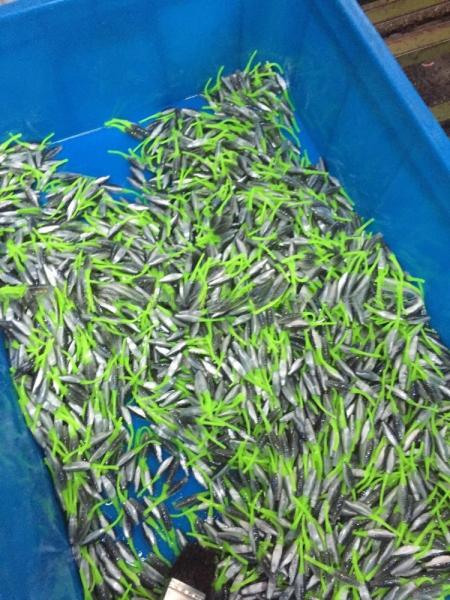 Quality 45T VERTICAL Fish Bait Plastic Injection Molding Machine For Precise Bait for sale