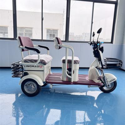 China Dual Purpose Electric Leisure Tricycle For Passenger And Cargo Transport for sale