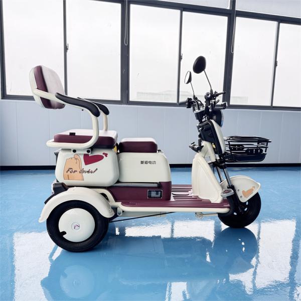 Quality Stylish White-Purple 2-Seater Electric Rickshaw with 500W Sine Wave Motor for Smooth Commuting for sale