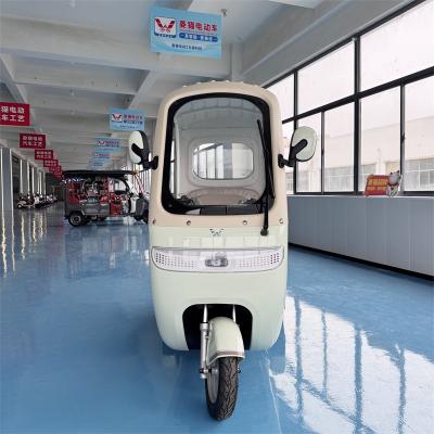 China Semi Enclosed Electric Leisure Tricycle with 800W Sine Wave Motor, 31-Tube Hydraulic Fork, and Front 110 Rear 130 Drum Brakes for sale