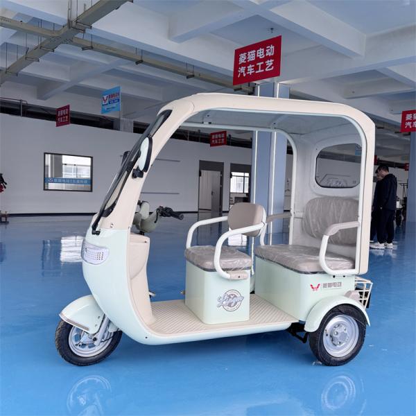 Quality Enclosed 3-Seater Electric Tricycle with All-Weather Canopy and 800W Sine Wave Motor for Commuting for sale