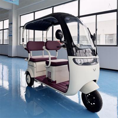 China Hongguang W Semi Open 4 Seater Electric Tricycle For Travel And Leisure for sale