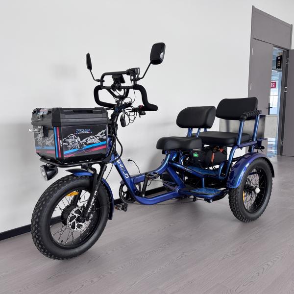 Quality 2 Seat 3 Wheel Ebike Tricycle Leisure Off-Road Type Dual Person Commuter With Storage Basket for sale