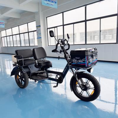 China Xiniuwang Urban Edition Two Seater Electric 3 Wheel Bicycle For Urban Travel for sale