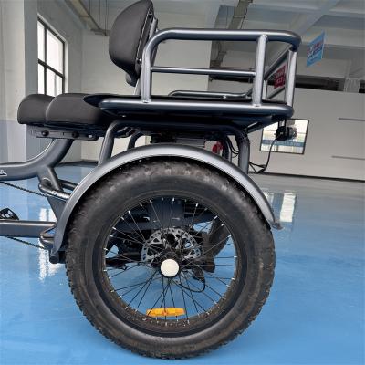 Quality Off Road Edition E Bike Tricycle Single Seater Equipped With Hardcore Configurat for sale