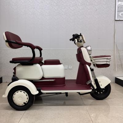 China 2 Seat Electric Passenger Tricycle For Adults With Storage Fashion New Model for sale