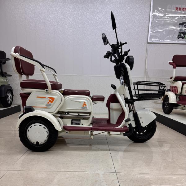 Quality Luxury Canopy Semi Open Enclosed Electric Trike For Sun And Shelter for sale