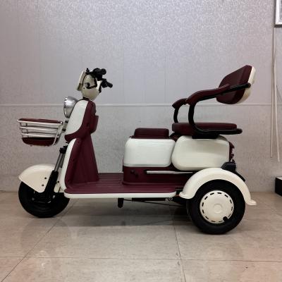 China New Model 3 Wheel Electric Tricycle Fashion  2 Seat Comfort For Seniors & Short Family Trips for sale