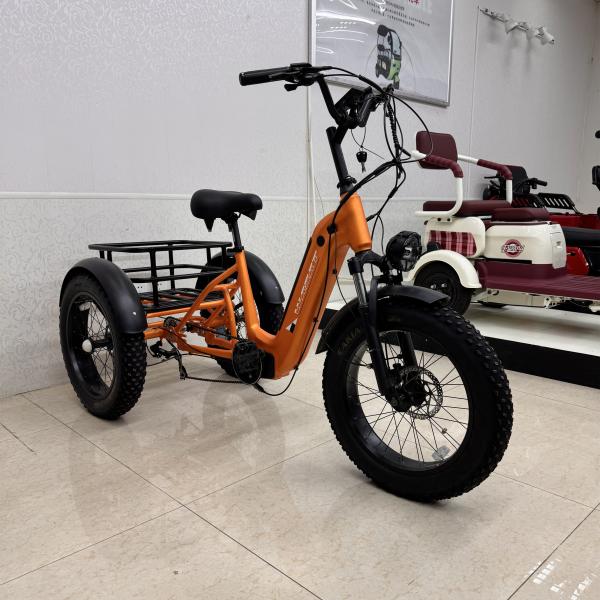 Quality Fat Tire Configuration Cargo Electric E Tricycle  Stable Grip For Lightweight Travel for sale