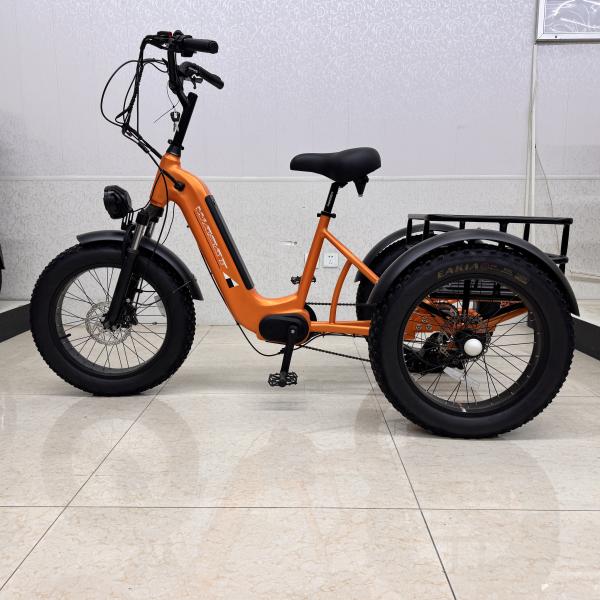 Quality Lightweight Electric Powered Tricycle For Cargo Transportation Fat Tire Electric Tricycle for sale
