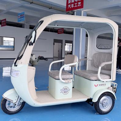 China 6-Seater Electric E Tricycle with Weather Resistant Canopy and 800W Motor for Large Families for sale