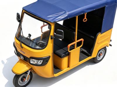 China Dual-Speed Electric Tuk Tuk with Cathodic Electrophoresis Anti-Corrosion Frame for 5-Person Riding for sale