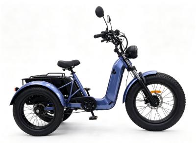 China Urban Leisure Electric Tricycle With Adjustable 6061 Aluminum Alloy Handlebar & LED Headlight Plus Warning Light, Comfortable Safe Short‑Trip Vehicle for sale