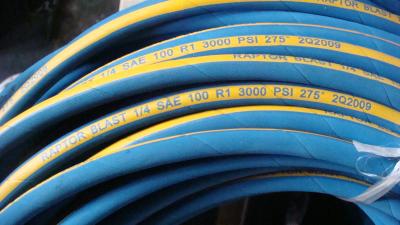 China Hydraulic Hose SAE 100 R1/1SN for sale