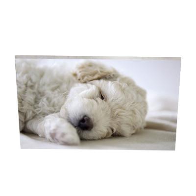 중국 (3H) 데스크톱이 모니터링하는 AUO AUO 23.8 "  M238DAN01.1QA 2560*1440, 퀄프비 1680*1050 WSXGA+, 98PPI 글레어 (헤이즈 0%), 하드 코팅 판매용