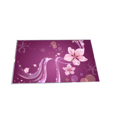 Cina Terminale LCD dei perni della banda verticale 40 dello schermo 1440X900 110PPI RGB del computer portatile di AUO B154PW04 V0 in vendita