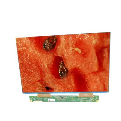 China Tela de 10,1 monitores industrial do tela GV101WXB-NN0-3GP0 LCD do LCD da polegada à venda