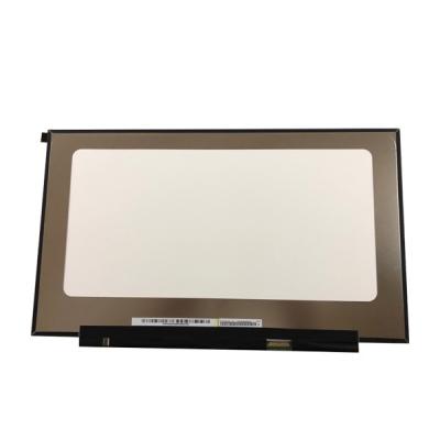 Cina Schermo di visualizzazione LCD a 17,3 pollici di NV173FHM-N49 30 Pin Laptop LED in vendita