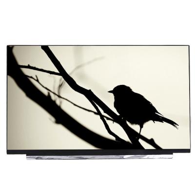 Cina Schermo LCD a 17,3 pollici del computer portatile N173HCE-G33 1920x1080 in vendita