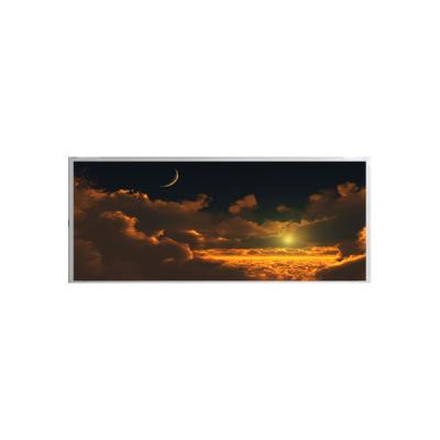 China Original 6,8 pulgadas para el tacto AV069Y0Q-N10 del panel del módulo de la exhibición de pantalla LCD de BOE en venta