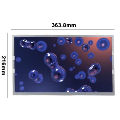 China EV156FHM-N10 15.6" LCD Panel RGB 1920×1080 Industrial LCD Screen Display for sale