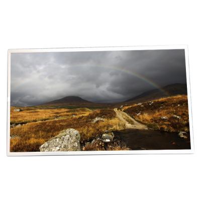 Китай 21,5 экранный дисплей касания дюйма 1920x1080 LM215DT8A продается