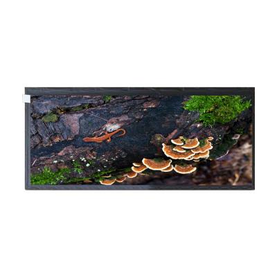 중국 12.3 자동차 디스플레이를 위한 인치 HSD123KPW2-A10 50 핀 LCD 스크린 패널 표시장치 판매용