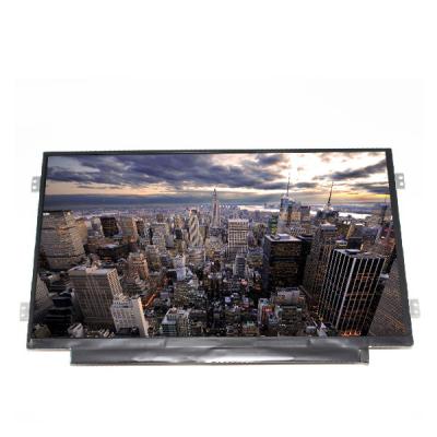 China B101AW06 V0 Slim LCD Touch Panel Display 10.1 Inch Laptop Screen for sale