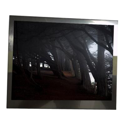 Cina AA050ME01--Visualizzazione LCD a 5,0 pollici originale T1 per attrezzatura industriale in vendita