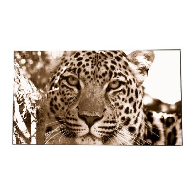 China Oorspronkelijke de Muurcomités LD550DUS-SEF1 1920*1080 van LG LCD Videoresolutie Te koop