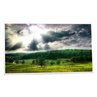 China 21.5 inch LCD panel display M215HGE-L21 1920*1080 30pin LCD Screen for sale
