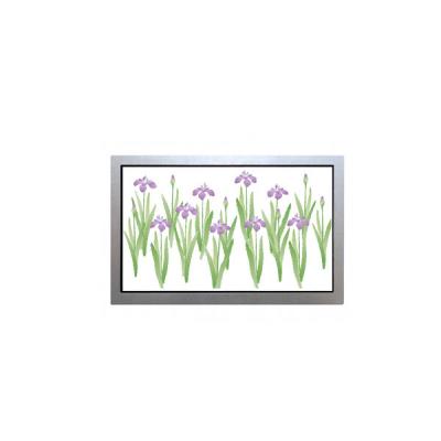 China AA104VC15 LCD module 10.4 inch lcd Screen 640*480 LCD display for sale