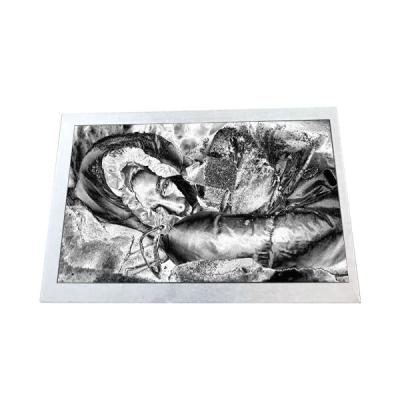 Κίνα Βιομηχανία TX13D06VM2BAA 5,0 ιντσών 188PPI οθόνη LCD προς πώληση