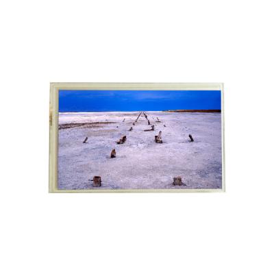 Κίνα Εικονική οθόνη LCD 20 πινών TX18D37VM0ARA προς πώληση