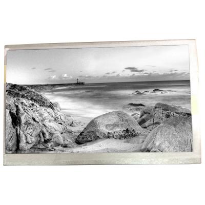 중국 LQ070Y3DG04 800*480 LCD 화면 7.0인치 LCD 패널 판매용