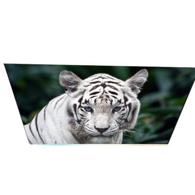 Cina Industria G270QAN02.0 27.0 pollici 70 pin pannello LCD TFT in vendita