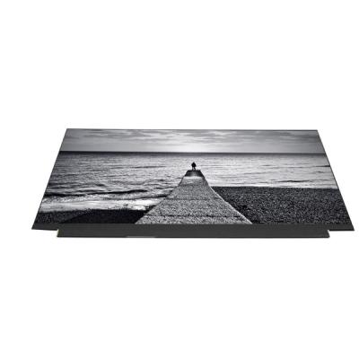 Cina LQ133M1JW40 13,3 pollici 1920*1080 LCD Screen Panel FHD Personalizzato in vendita