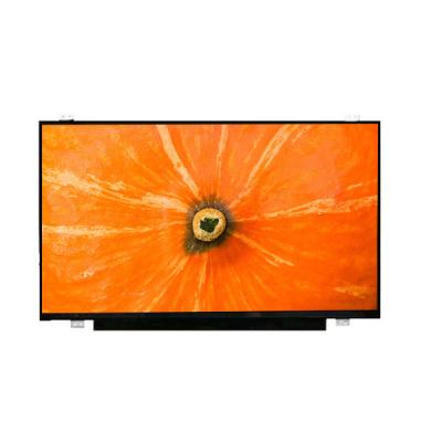Cina LQ173D1JW31 Originale in magazzino 17,3 pollici schermo LCD in vendita