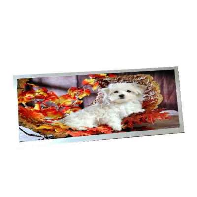 China Para AUO C123HAN02.5 12,3 polegadas 40 pinos LCD à venda