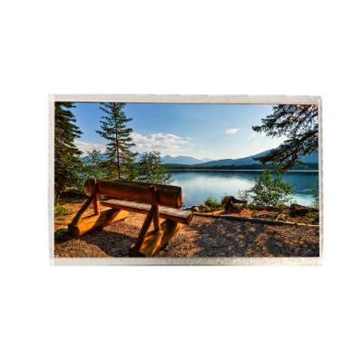 Cina Industria 10,1 pollici G101STN01.6 schermo LCD TFT in vendita