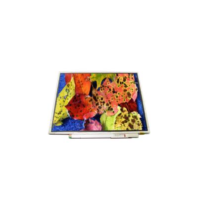 Cina LTN121XJ-L05 Display LCD 12,1 pollici 1024*768 Modulo di pannello LCD da 20 pin in vendita