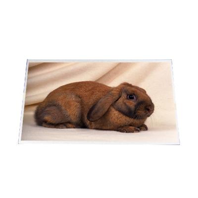 Cina B140RW03 V1 14.0 pollici 1600*900 LCD SCREEN PANEL in vendita