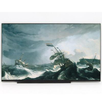 Cina B140HAN06.8 14,0 pollici 1920*1080 TFT-LCD SCREEN per computer portatili in vendita