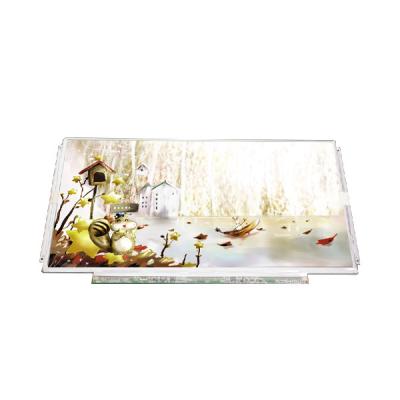 중국 B133XW01 V1 13.3 인치 1366*768 노트북 LCD 화면 디스플레이 판매용